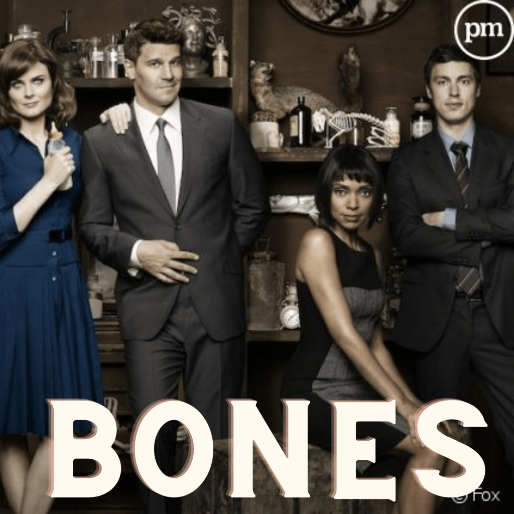 Bones Saison 4 de Hart Hanson