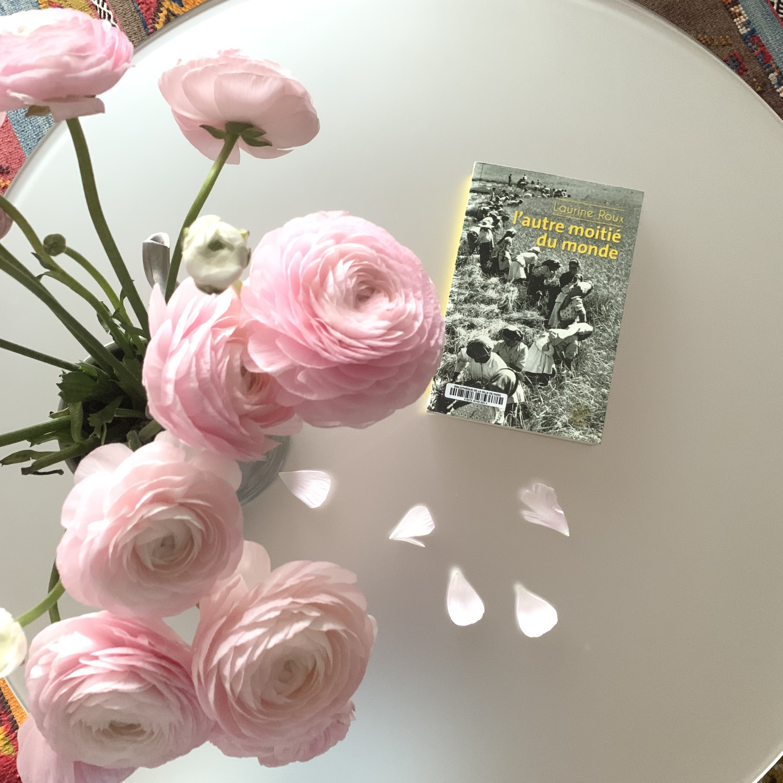 L'autre moitié du monde de Laurine ROUX