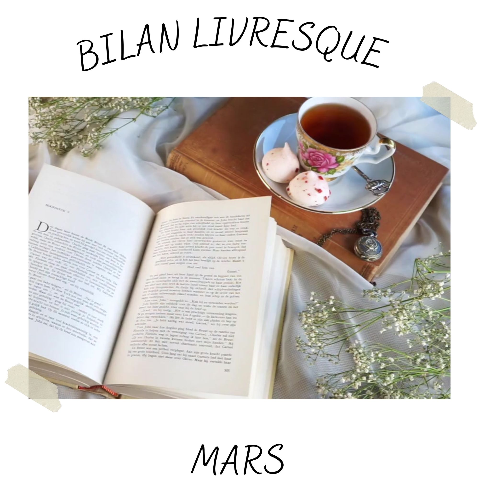 Bilan Livresque du mois de Mars 2025 - Les Paravers de Millina